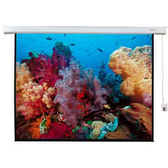 Telon para proyector y video beam | falabella.com